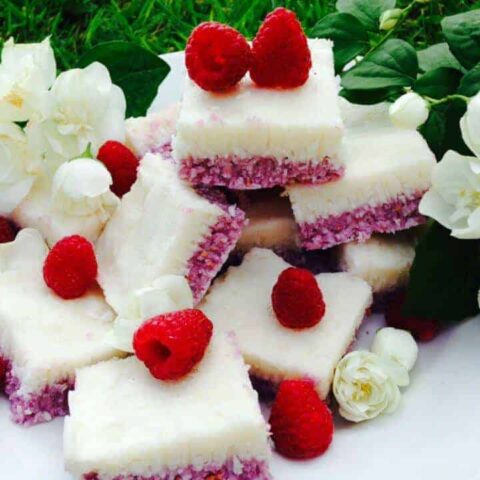 Raspberry and Lemon Coconut Bars - Hedi Hearts